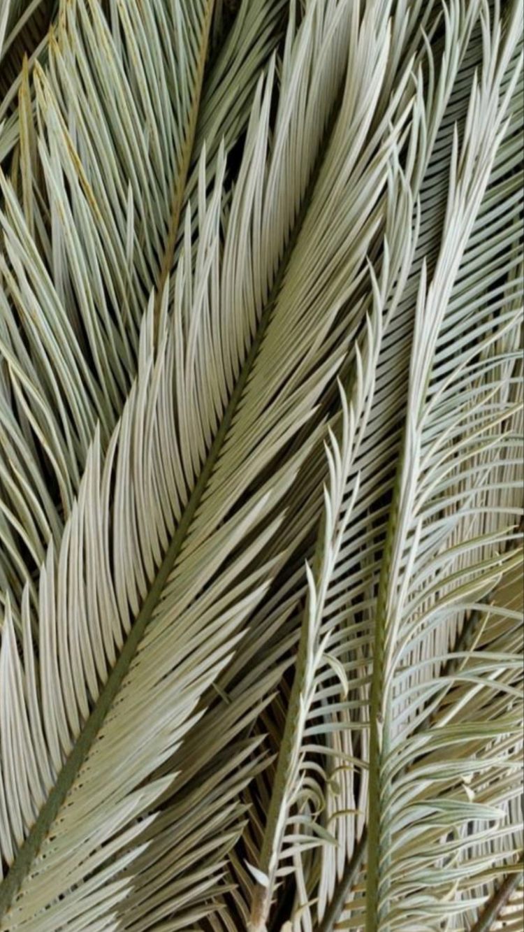 WALLETS + BAGS – Blacktop Surf Shop